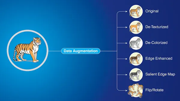 10 Advanced Data Augmentation Techniques for Image Classification ...